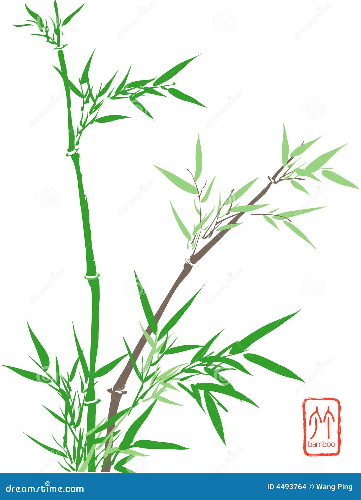 Chinese Bamboo stock illustration. Illustration of floral - 4493764