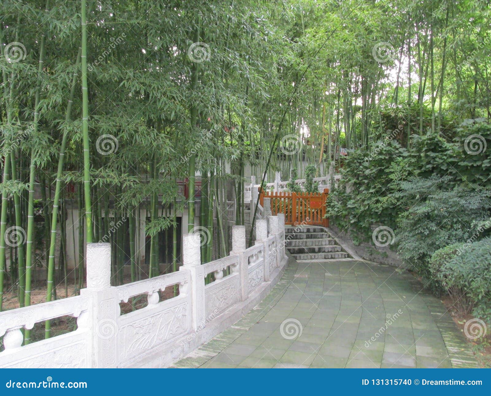 Chinese bamboo forest stock photo. Image of pagoda, church - 131315740