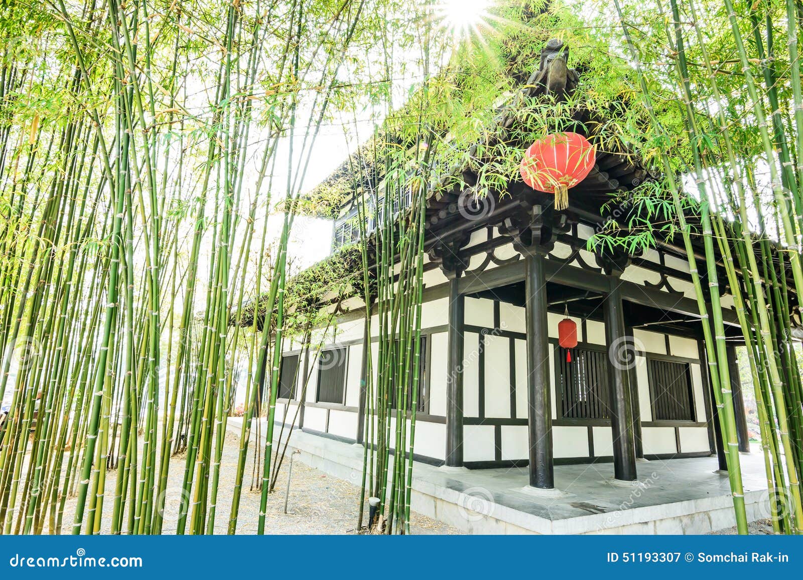 The Chinese Bamboo Garden and House Stock Image - Image of nations ...