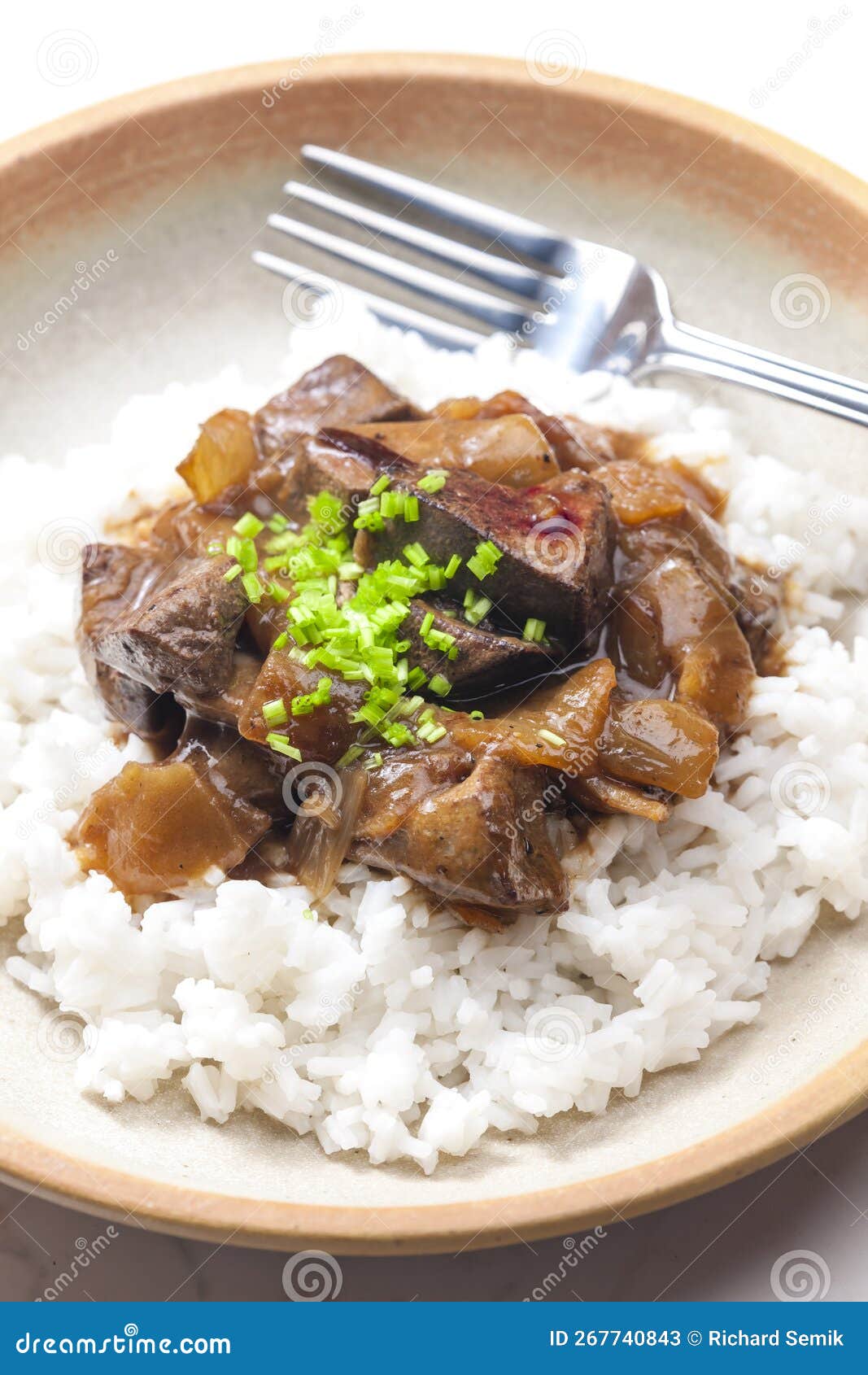 Chinese Beef Meat with Soy Sauce Served with Rice Stock Image - Image ...