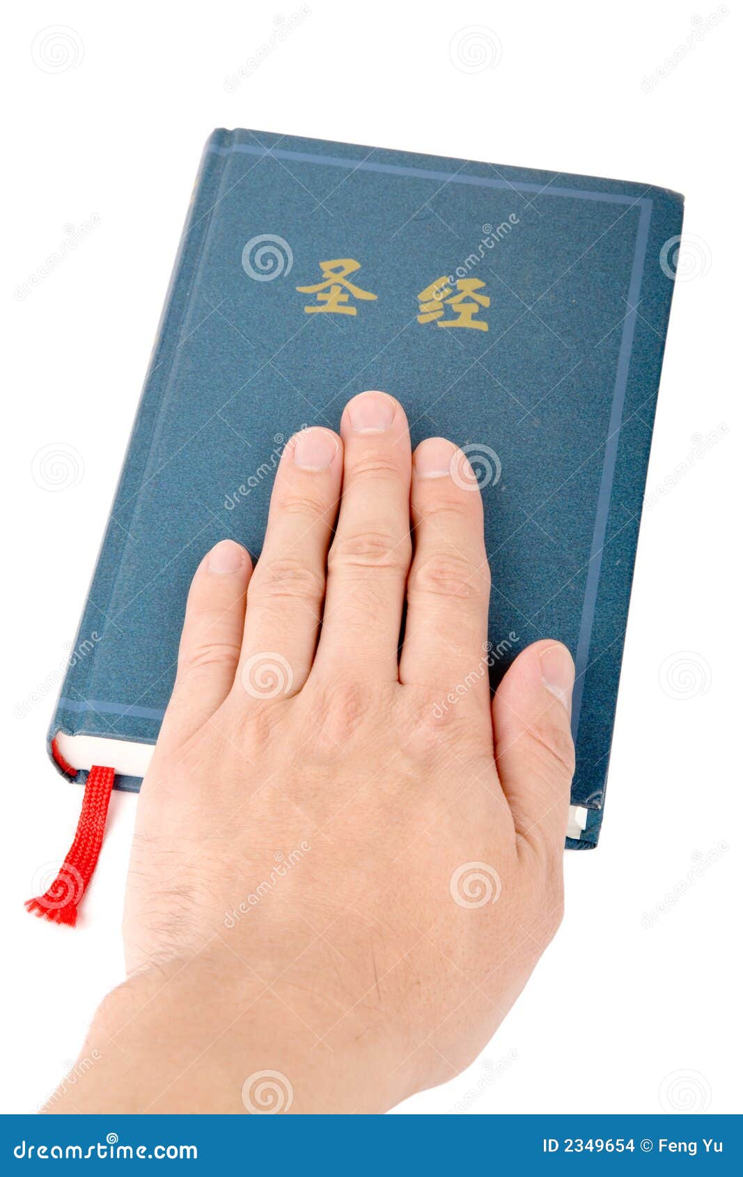 Chinese Family Reading Bible