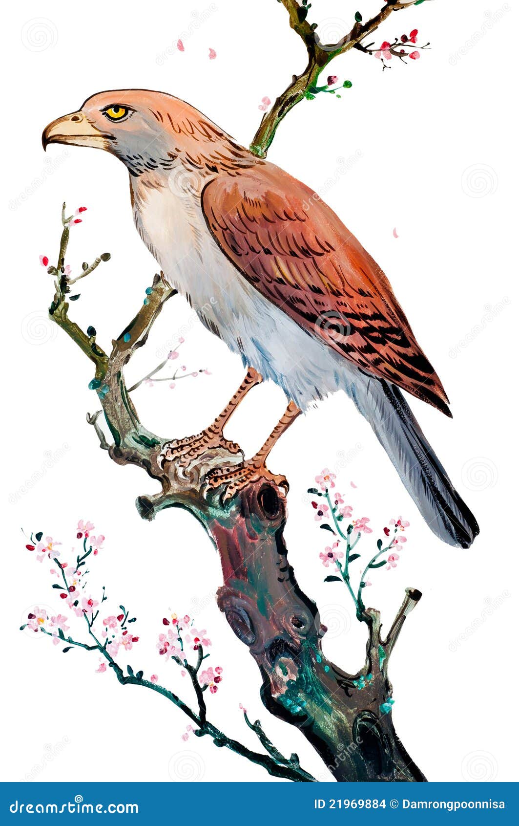 Chinese Bird Drawing Stock Photography | CartoonDealer.com #21969884