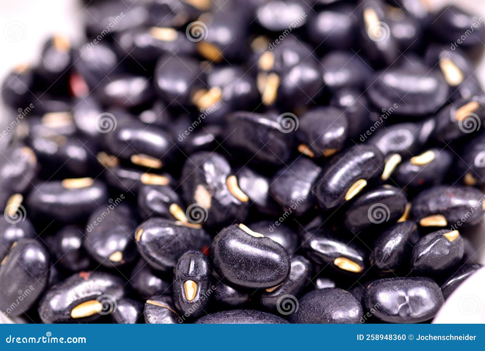 Chinese Black Soybeans in a Closeup Stock Photo - Image of soybeans ...