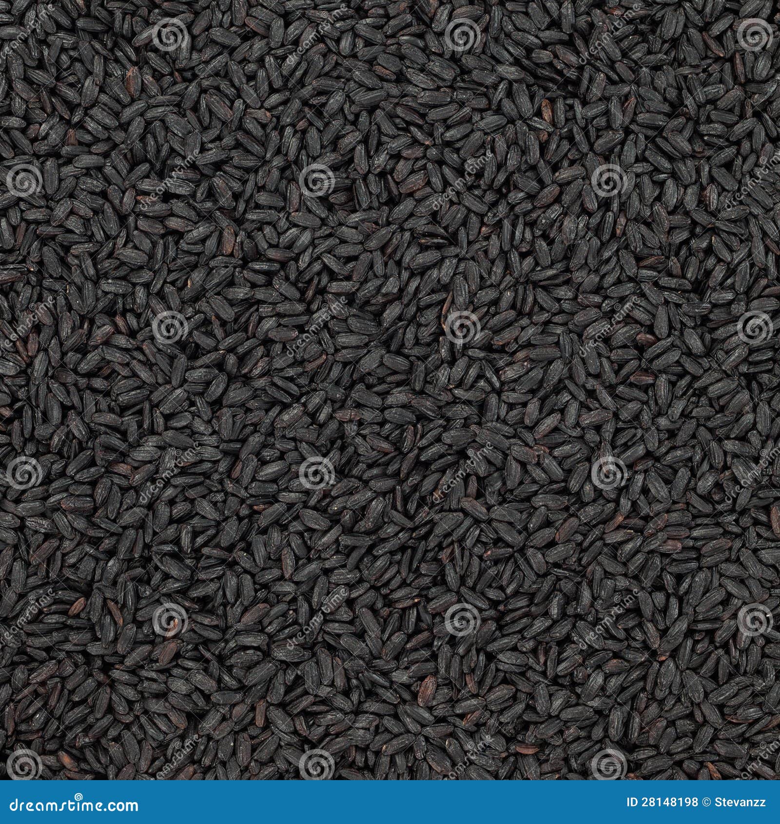 Chinese Black or Venere Whole Grain Rice. Stock Photo - Image of ...