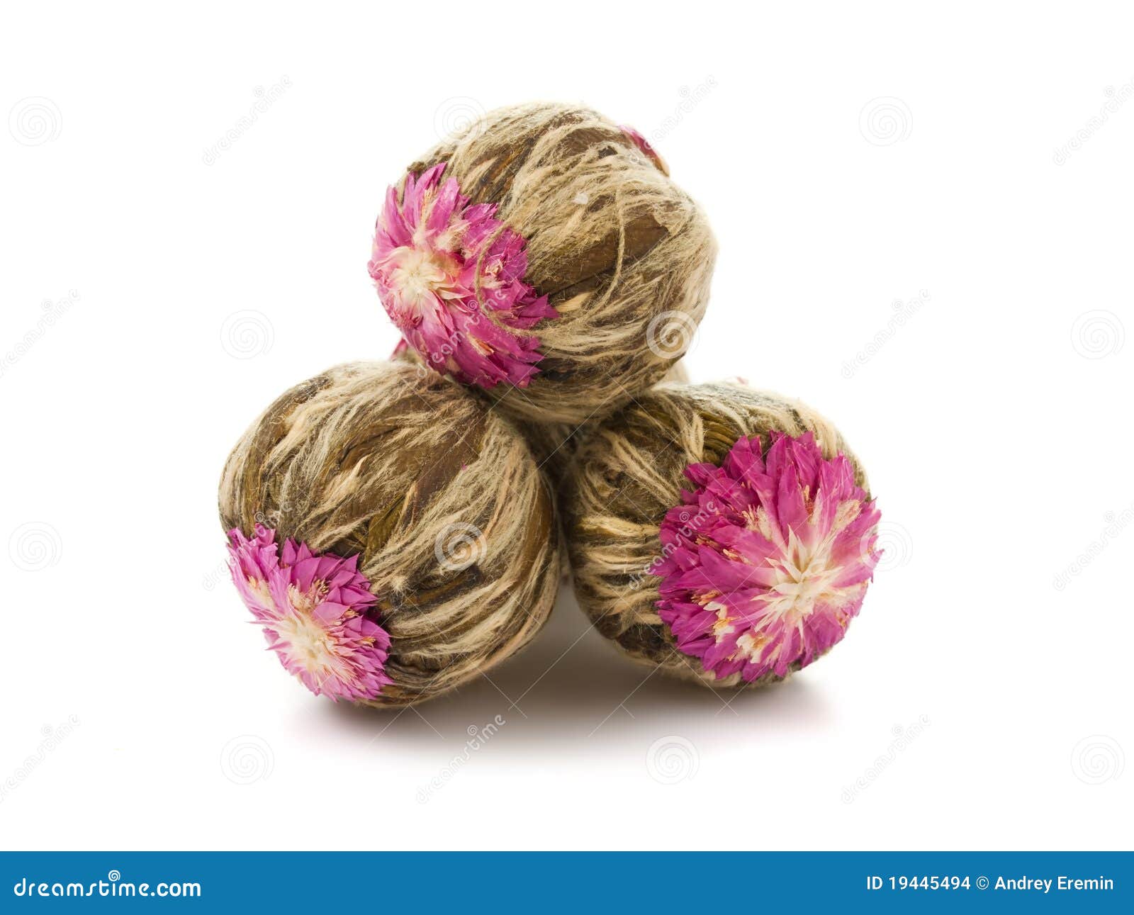 Blooming Flower From Granny Smith Apple Dwarf Tree Royalty-Free Stock ...