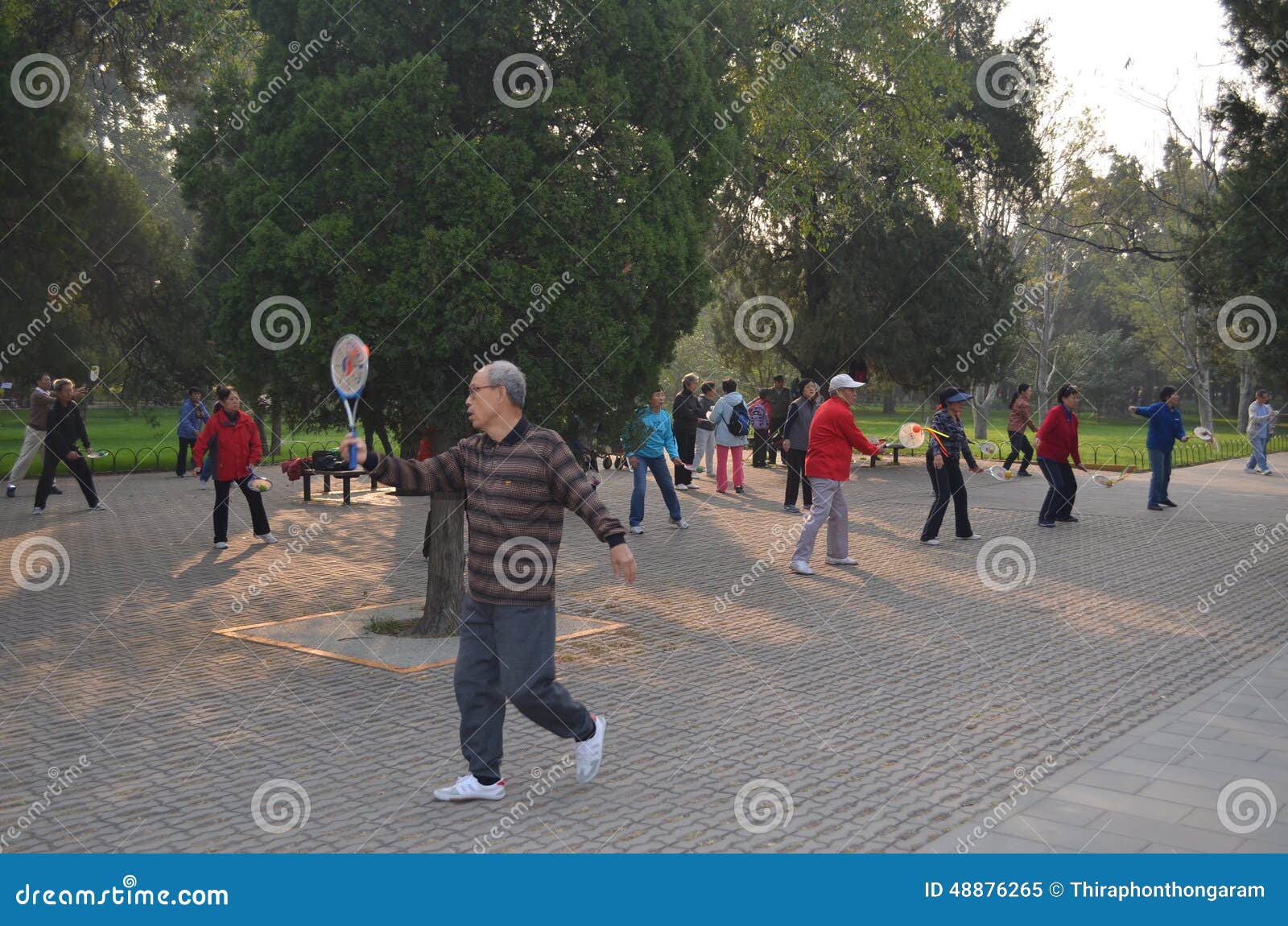 Chinese boxing-Tai Chi editorial image. Image of people - 48876265