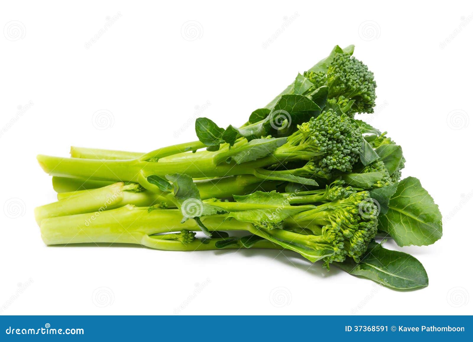 Chinese broccoli stock afbeelding. Image of groen, versheid - 37368591