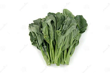 Chinese broccoli stock photo. Image of vegetable, cooking - 958186