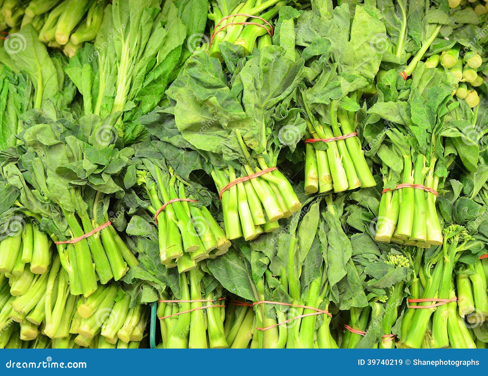 Chinese Broccoli stock image. Image of healthy, leafy - 39740219