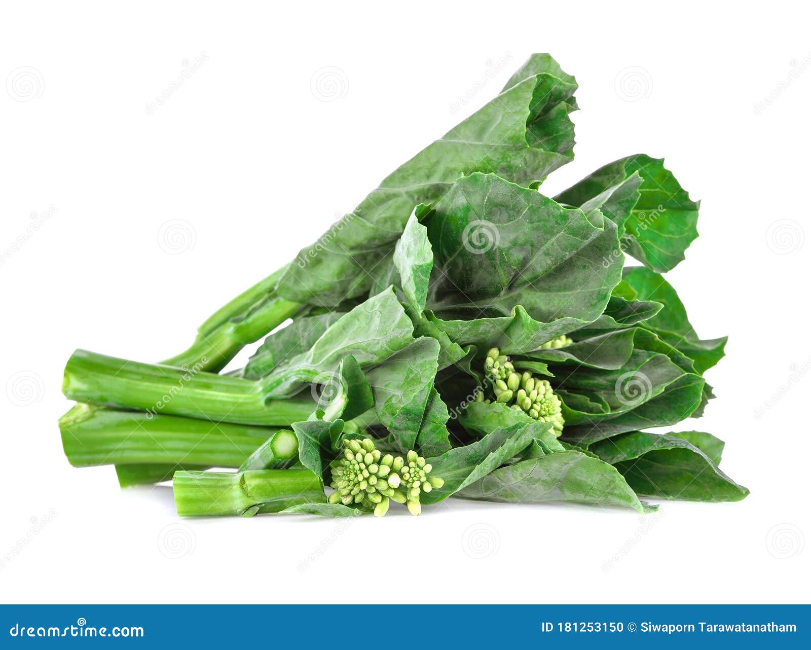 Chinese Broccoli on White Background Stock Photo - Image of green ...