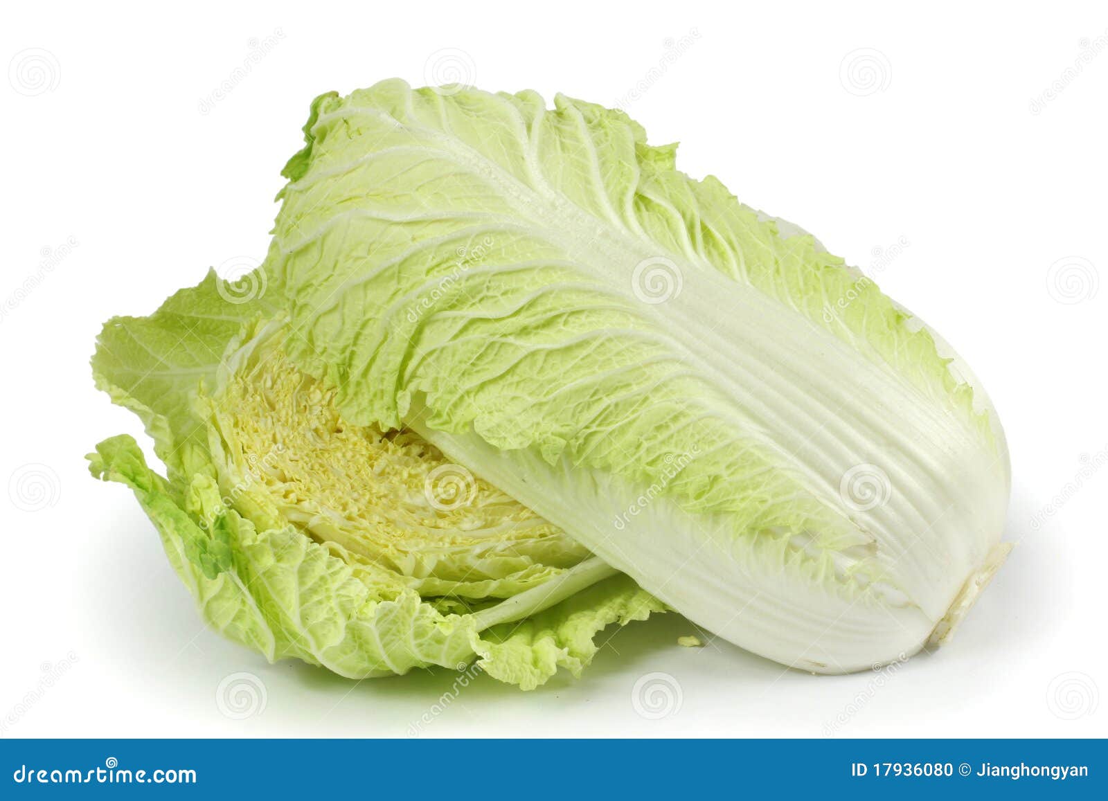 Chinese cabbage stock photo. Image of objects, nutrient - 17936080