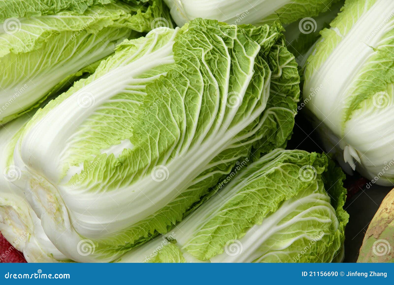 Chinese cabbage stock photo. Image of food, background - 21156690