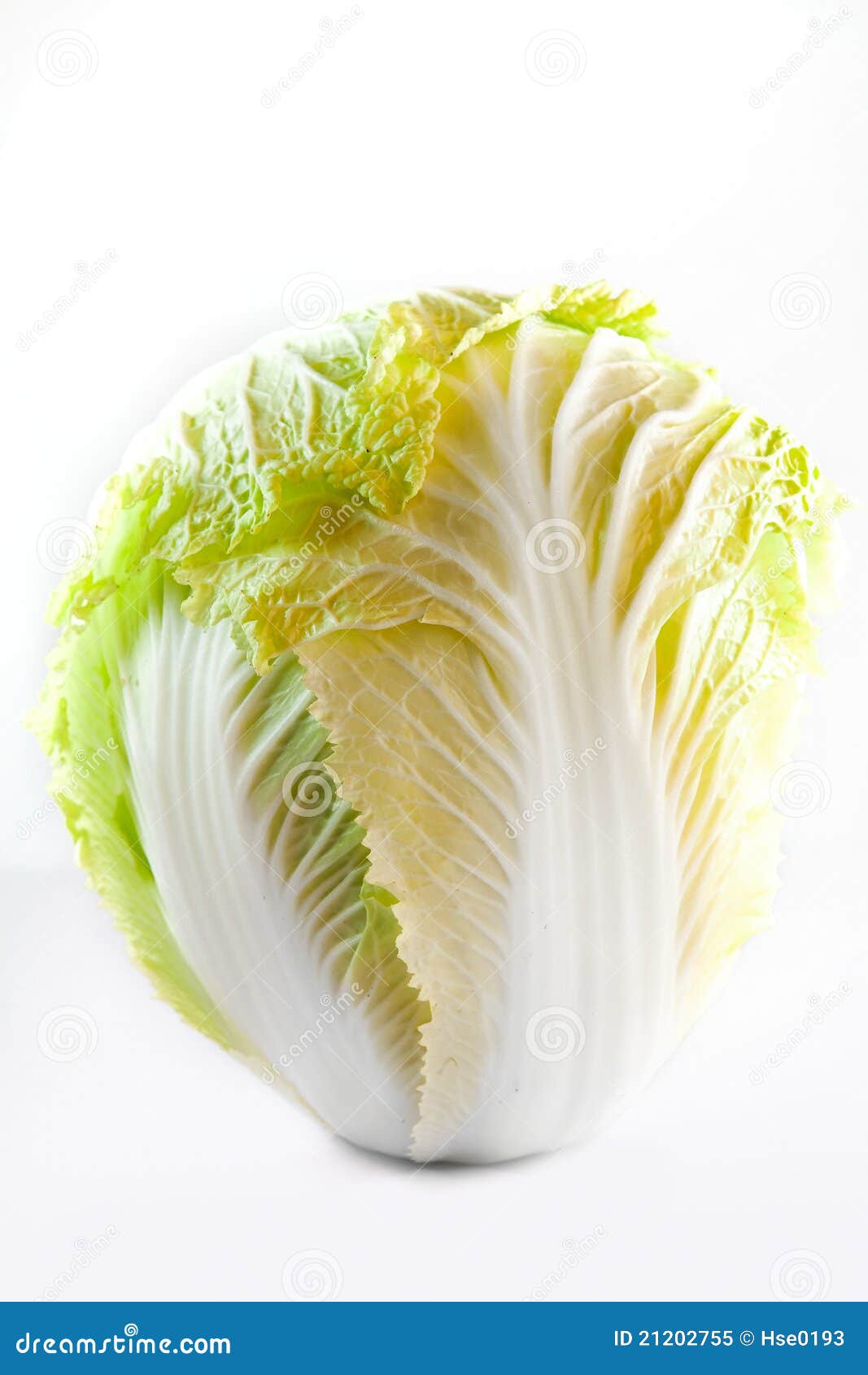 Chinese cabbage stock image. Image of nutritious, vegetarian - 21202755