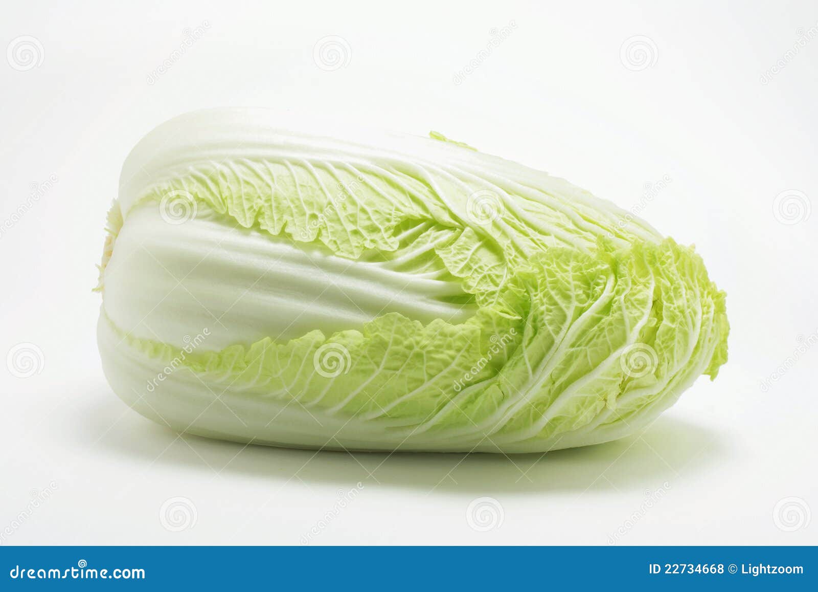 Chinese Cabbage stock photo. Image of cabbage, freshness - 22734668