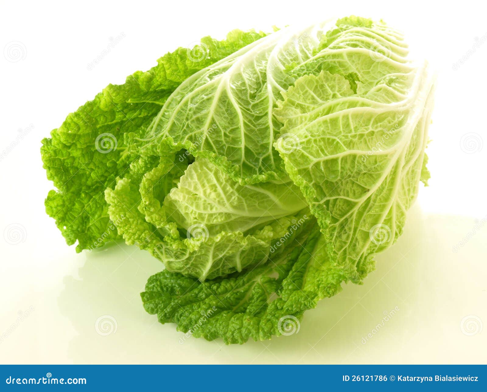 Chinese Cabbage Leaves All Over The Field. Sheet Texture. Stock ...