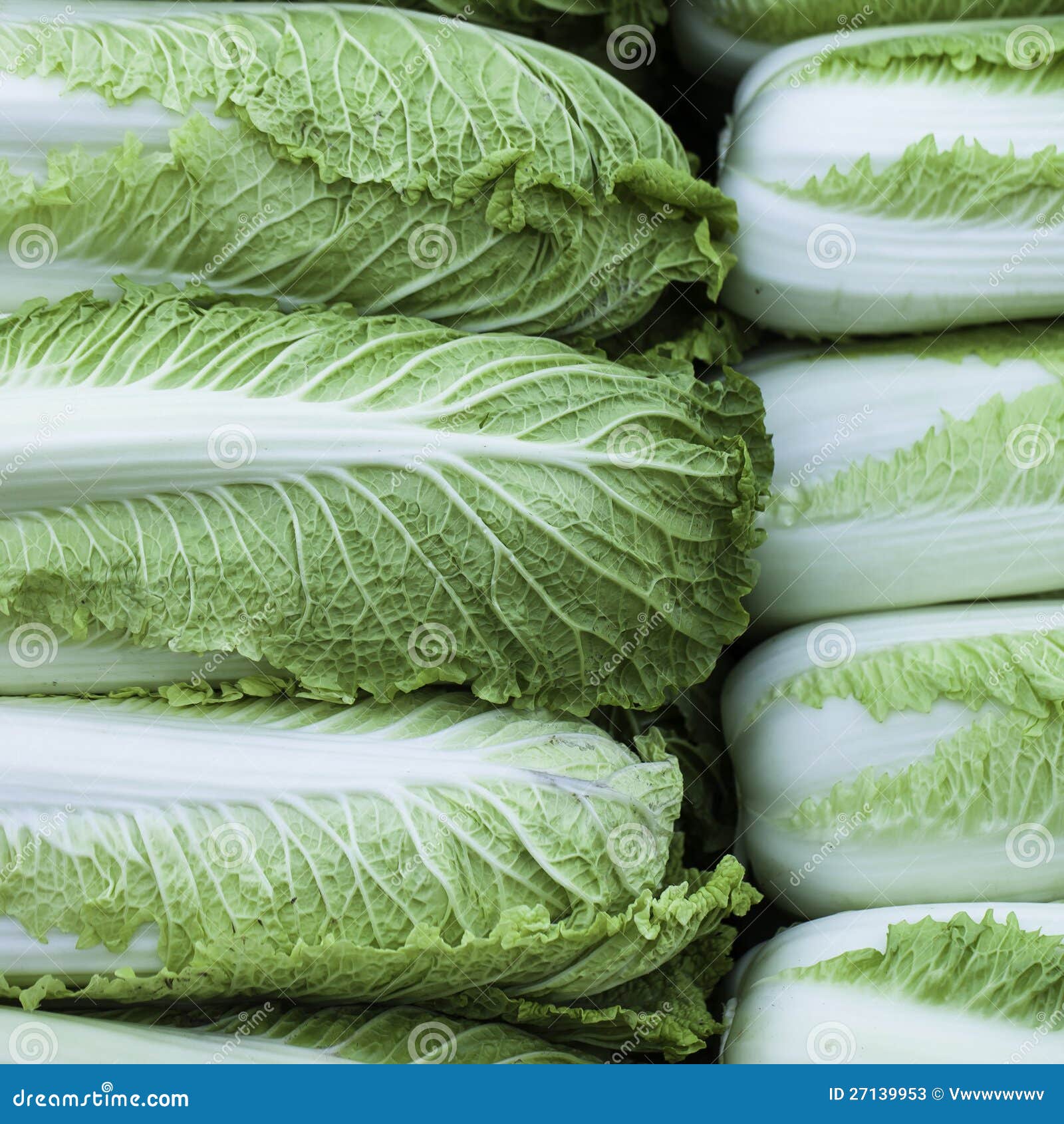 Chinese Cabbage stock image. Image of vegetable, pile - 27139953