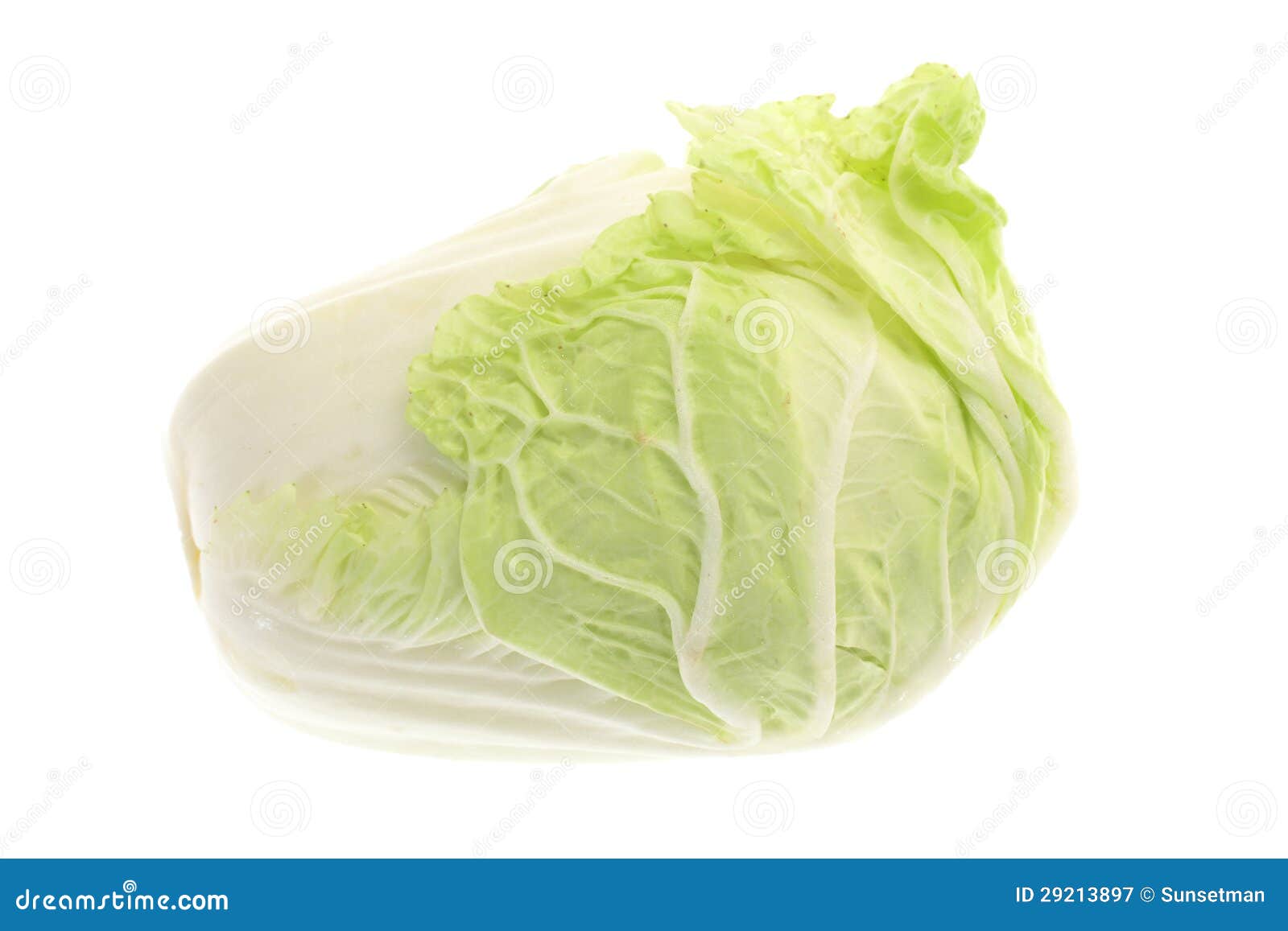 Chinese Cabbage stock image. Image of fiber, grow, fresh - 29213897