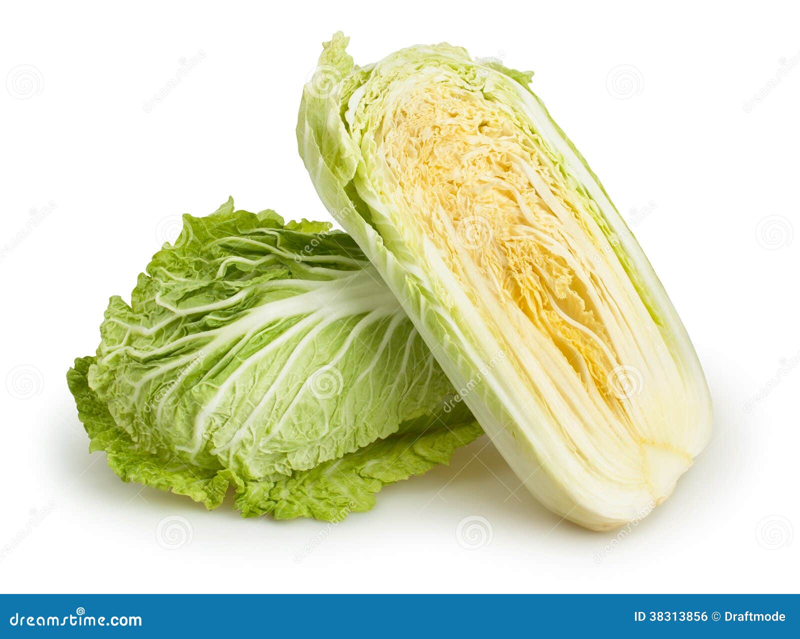 Chinese cabbage stock photo. Image of china, white, green - 38313856