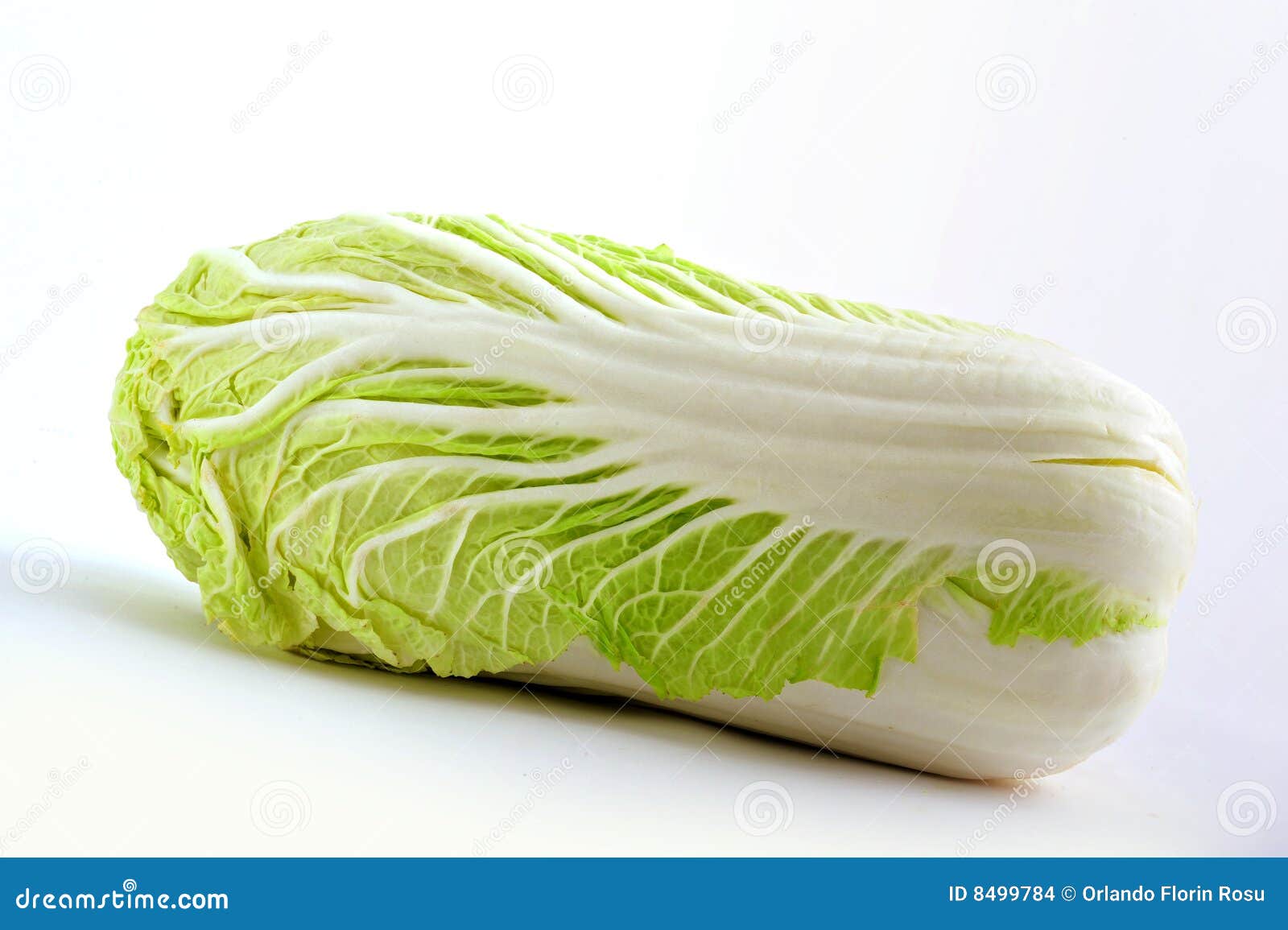 Chinese cabbage stock photo. Image of fresh, green, healthy - 8499784