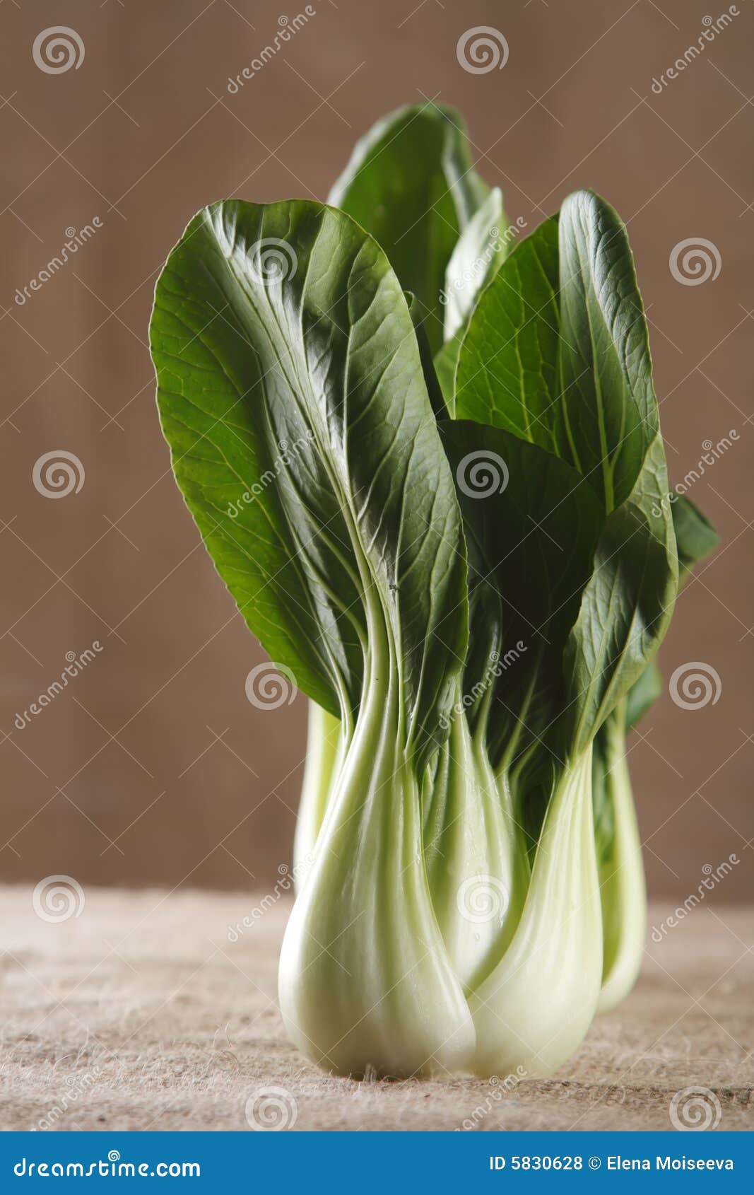Chinese Cabbage Bok Choy Pak-choi on Rustic Stock Photo - Image of ...