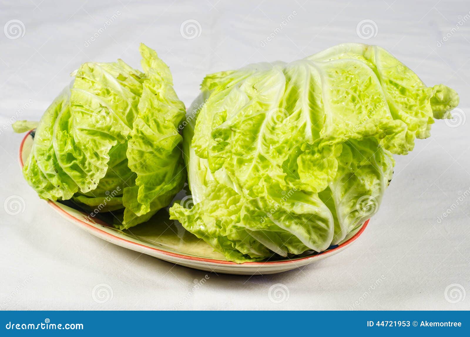 Chinese Cabbage on the Dish Stock Image - Image of healthy, plant: 44721953