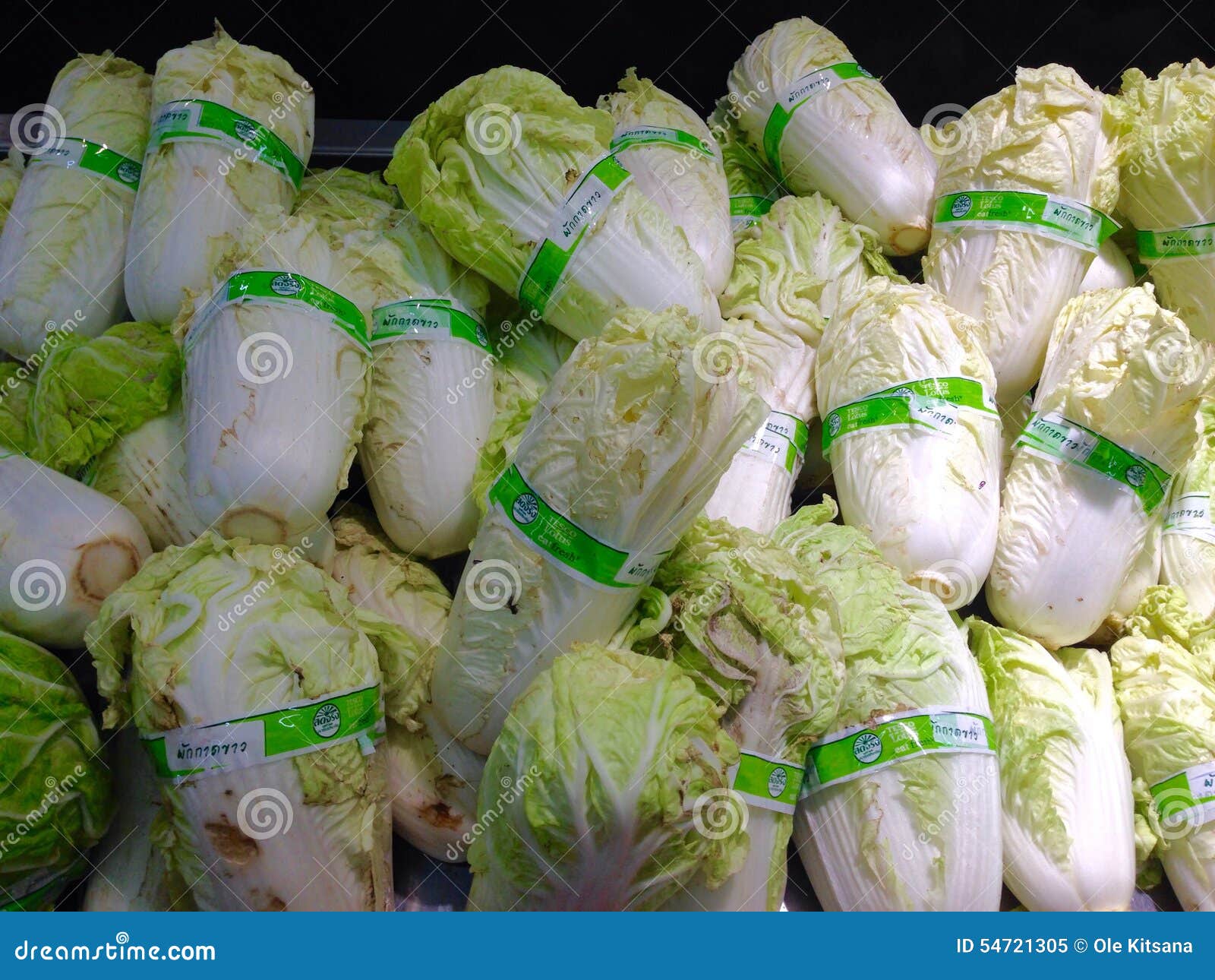 Chinese cabbage editorial image. Image of cabbage, plate - 54721305