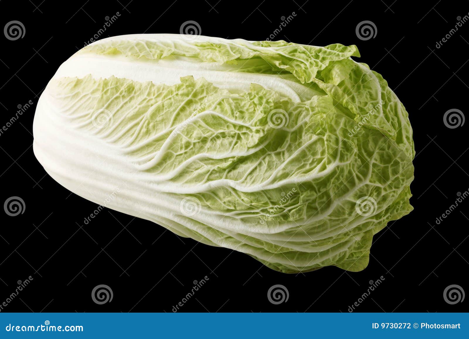 Chinese cabbage isolated stock photo. Image of shot, isolated - 9730272