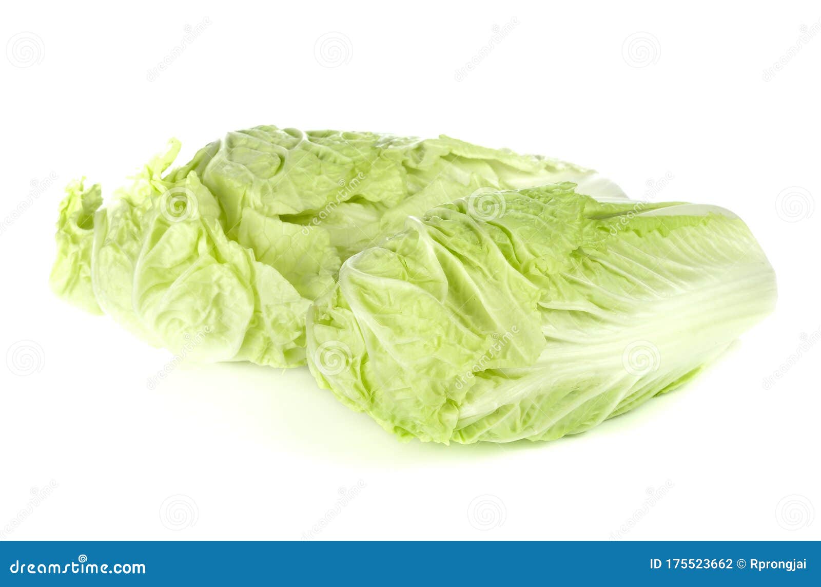 Chinese Cabbage Isolated on White Stock Photo - Image of profile ...
