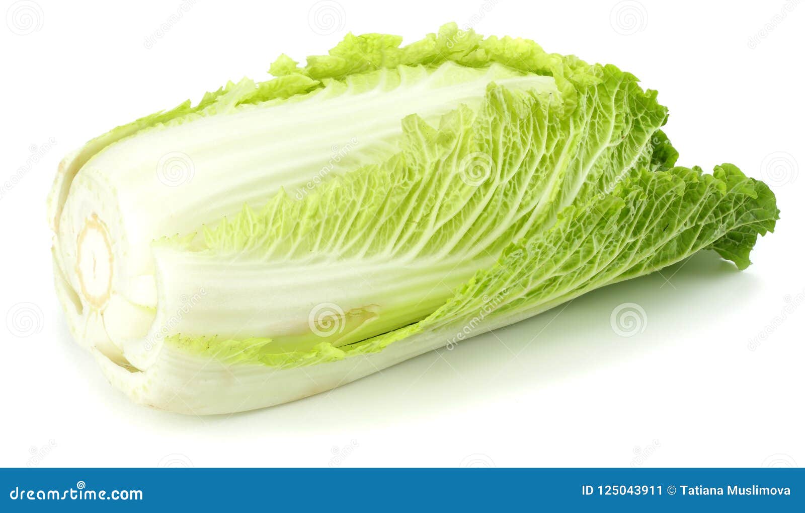 Chinese Cabbage Grown In Glass Royalty-Free Stock Photo | CartoonDealer ...