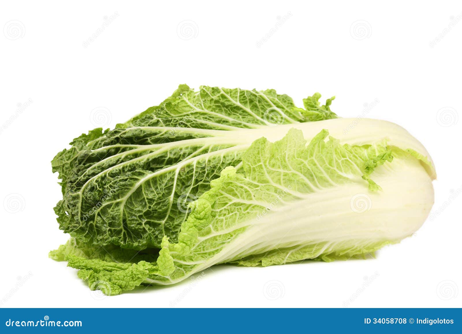 Chinese cabbage stock photo. Image of isolated, organic - 34058708