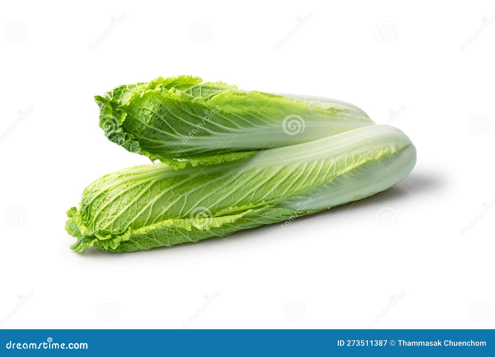 Chinese Cabbage-Michilli on White Stock Image - Image of healthy ...