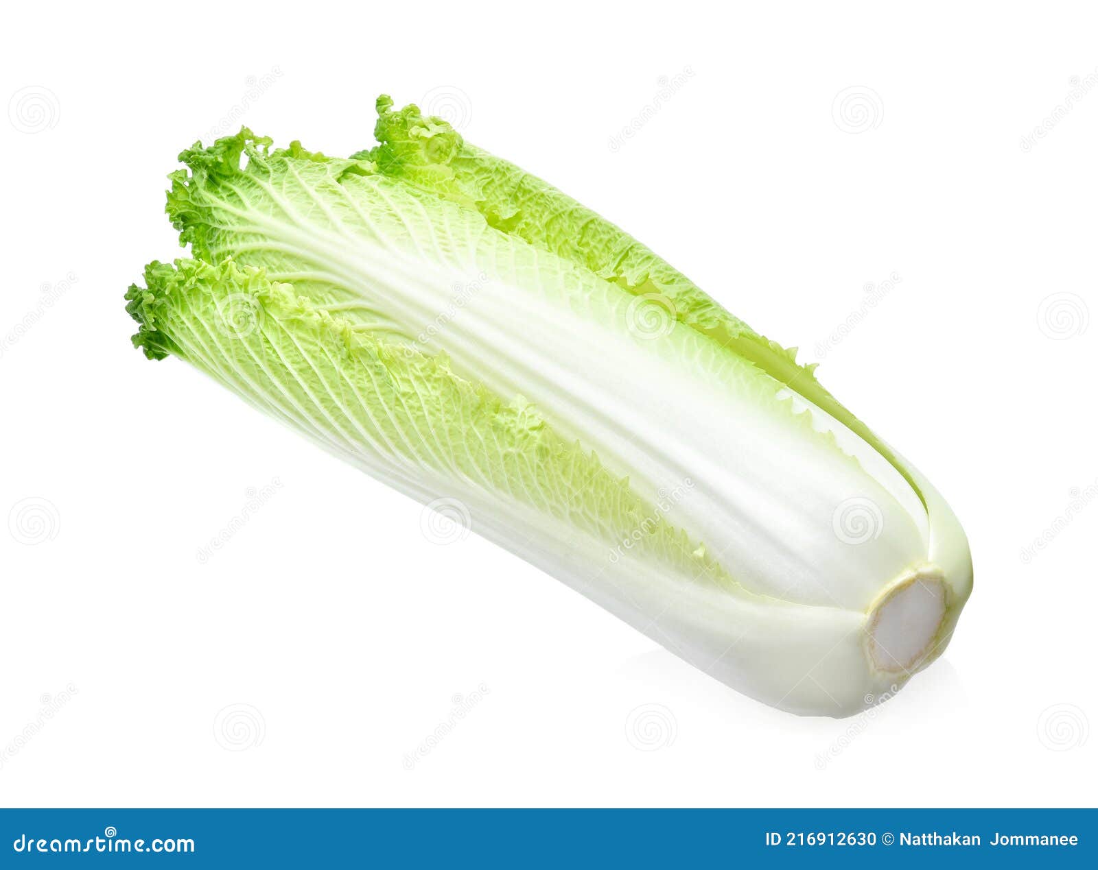 Chinese Cabbage-Michilli on White Background Stock Photo - Image of ...