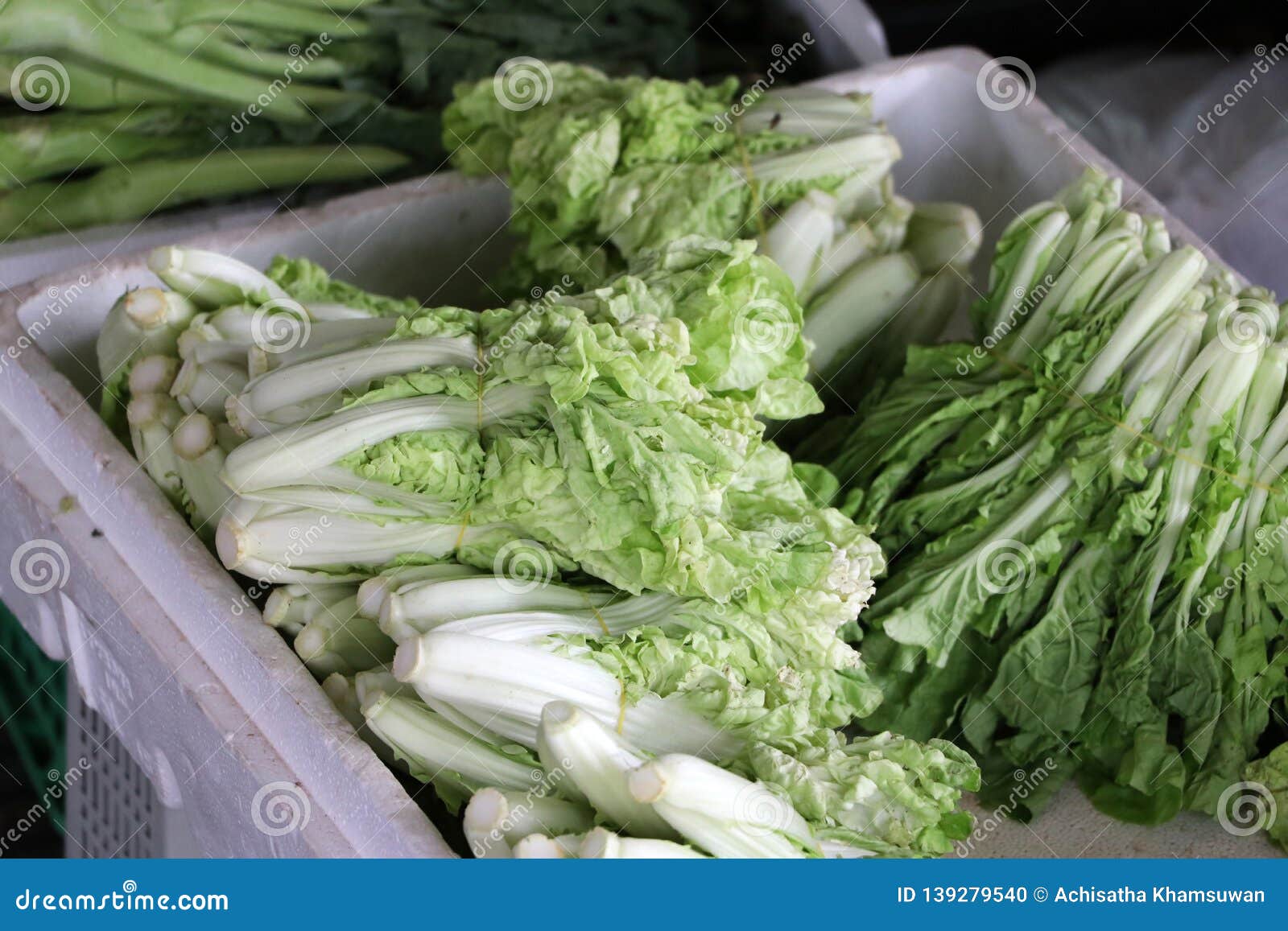 Chinese Cabbage or Napa Cabbage in the White Rectangular Plastic Basket ...