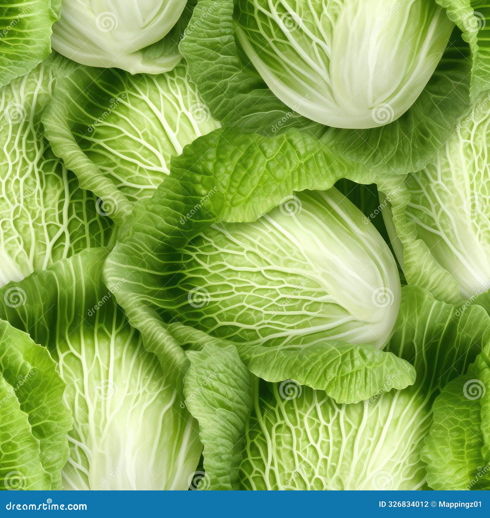 Chinese Cabbage Pattern Ultra Realistic Stock Illustration ...