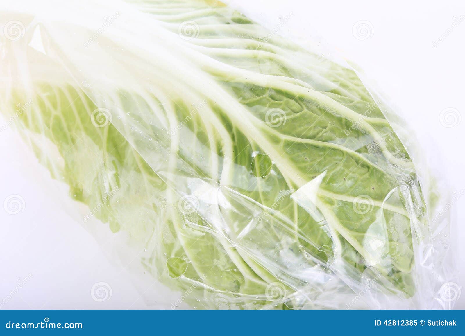 Chinese Cabbage in a Plastic Bag Stock Image - Image of closeup ...