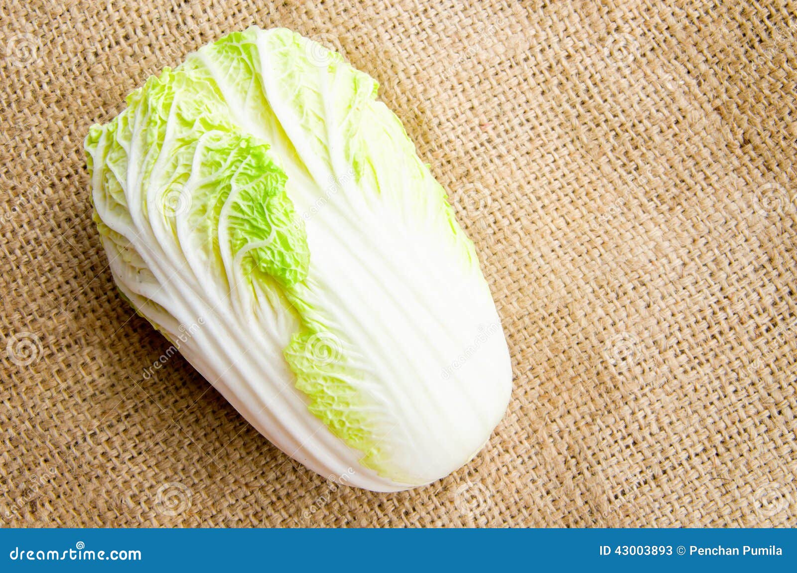 Chinese cabbage stock image. Image of ingredient, head - 43003893