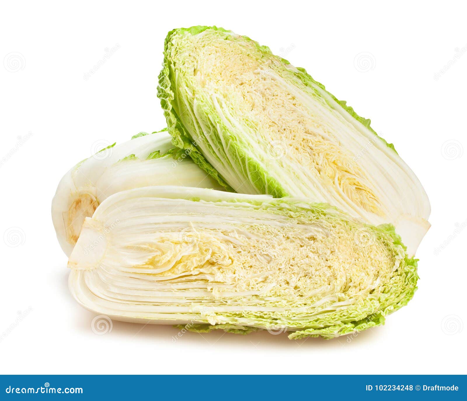 Chinese cabbage stock photo. Image of nutrition, closeup - 102234248