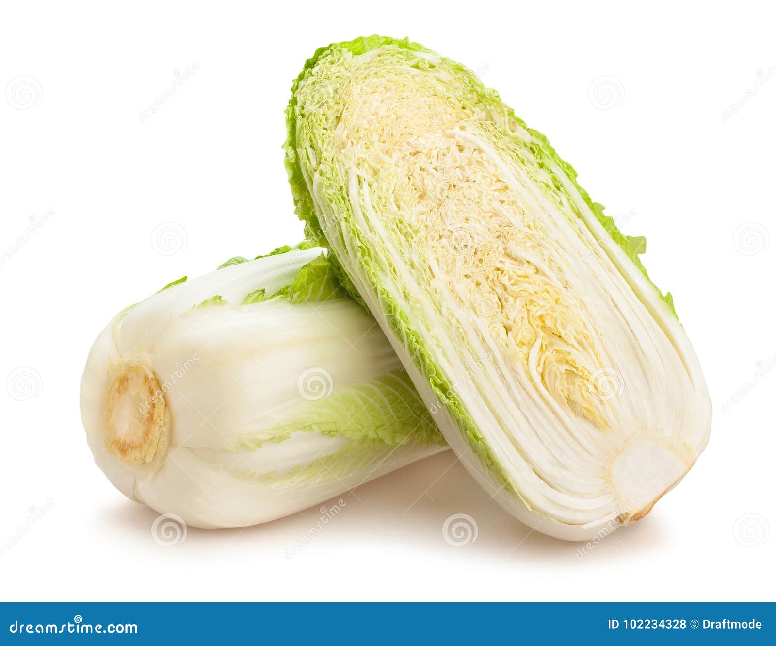 Chinese cabbage stock photo. Image of food, slice, studio - 102234328
