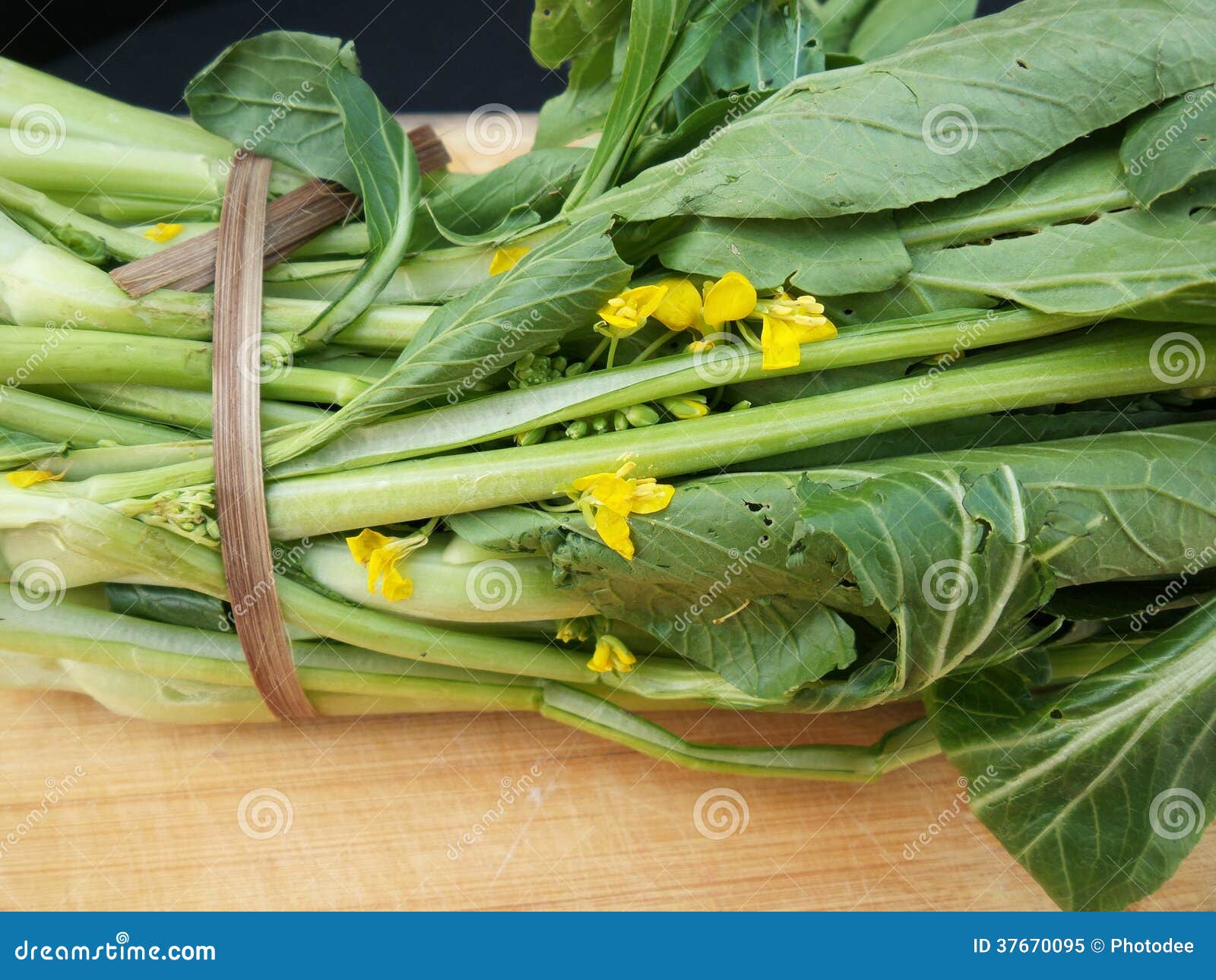 Chinese cabbage vegetables stock image. Image of vitamin - 37670095