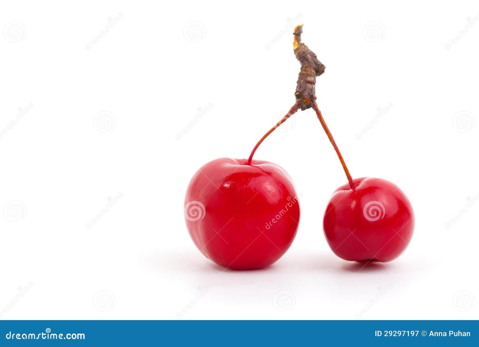 Chinese cherry apples stock image. Image of healthy, color - 29297197