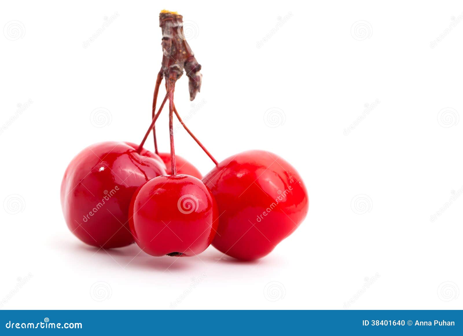 Chinese Cherry Tree Royalty-Free Stock Photography | CartoonDealer.com ...