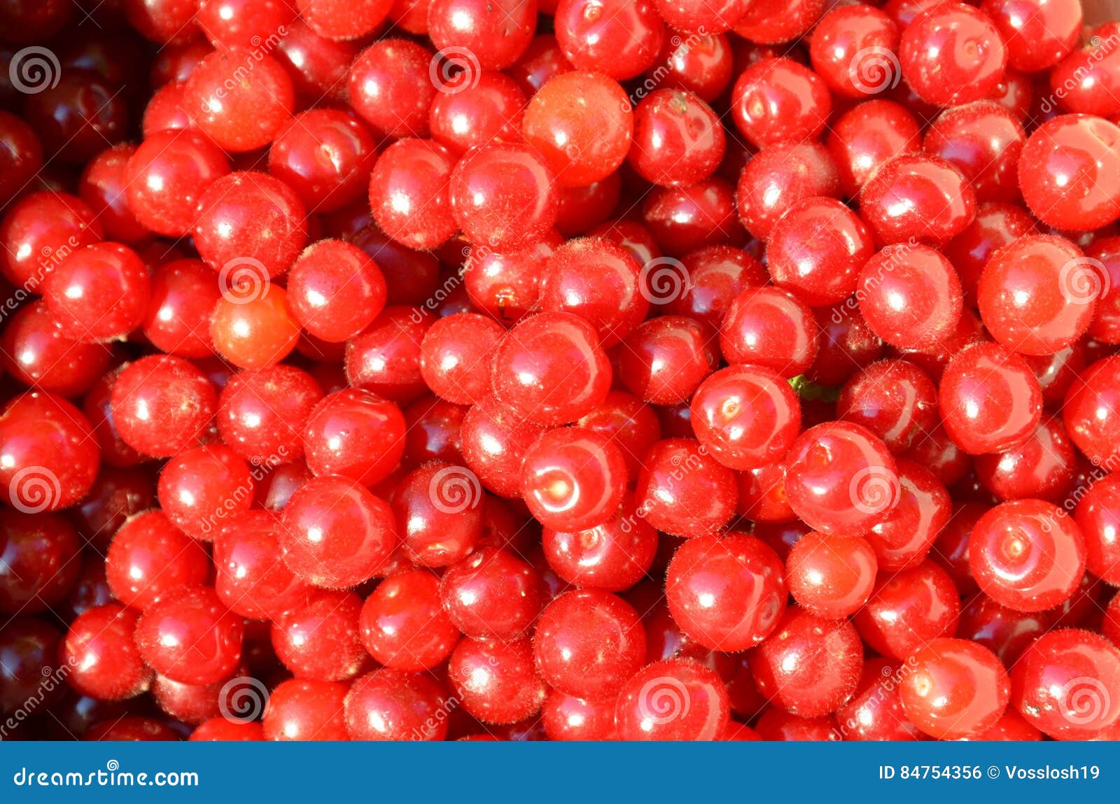 Chinese cherry. stock photo. Image of helpful, fruit - 84754356