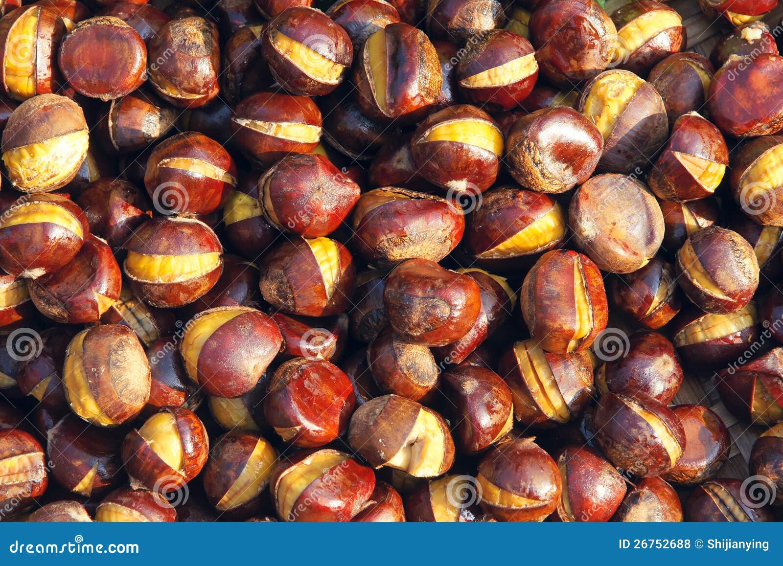 Chinese Chestnut Royalty-Free Stock Photo | CartoonDealer.com #21371517