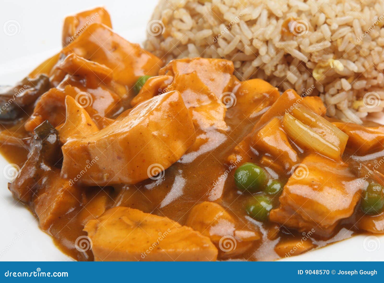 Chinese Chicken Curry & Rice Stock Photo - Image of dinner, fried: 9048570