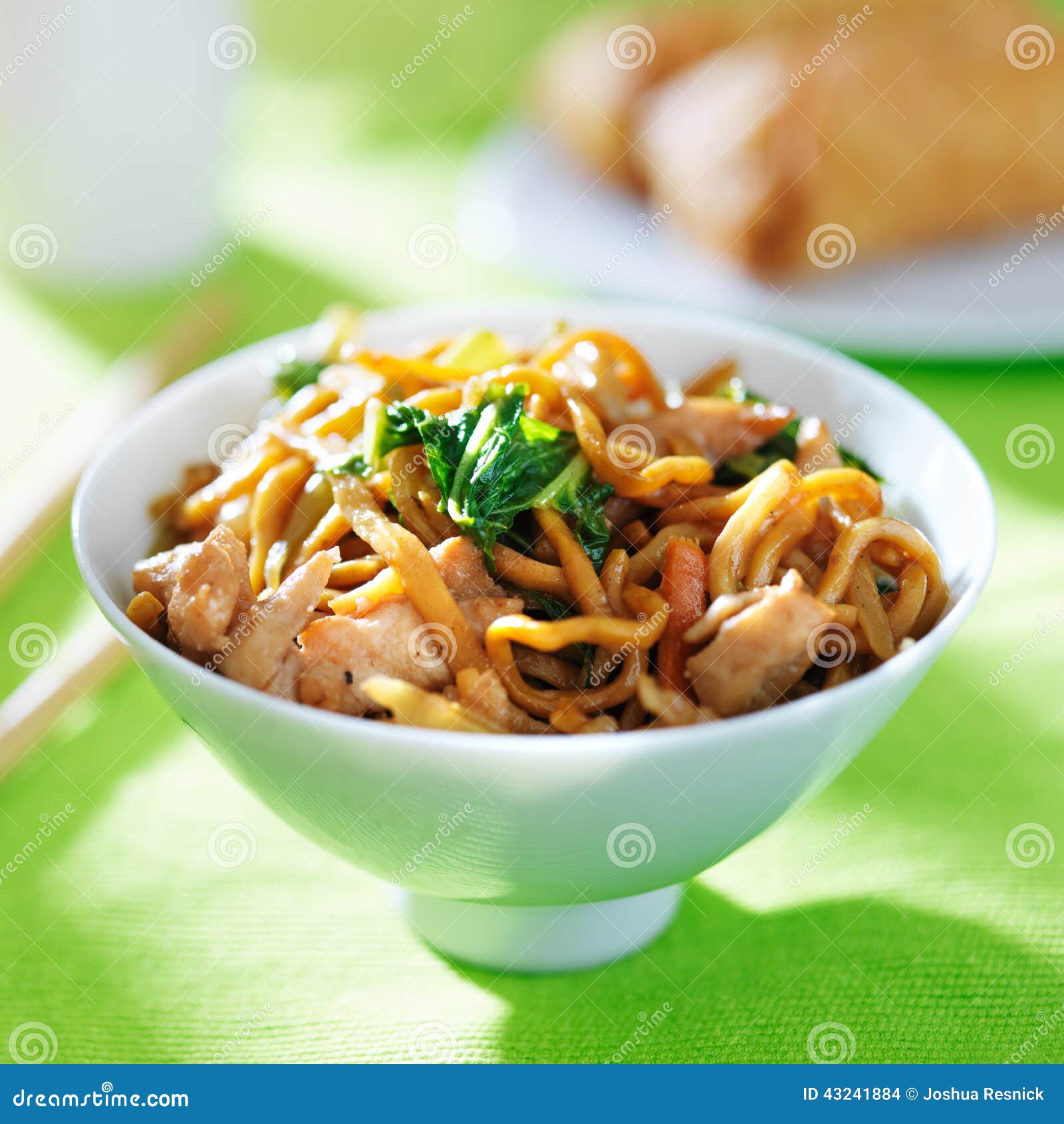 Chinese Chicken Lo Mein in a Bowl Stock Photo - Image of choy, asia ...