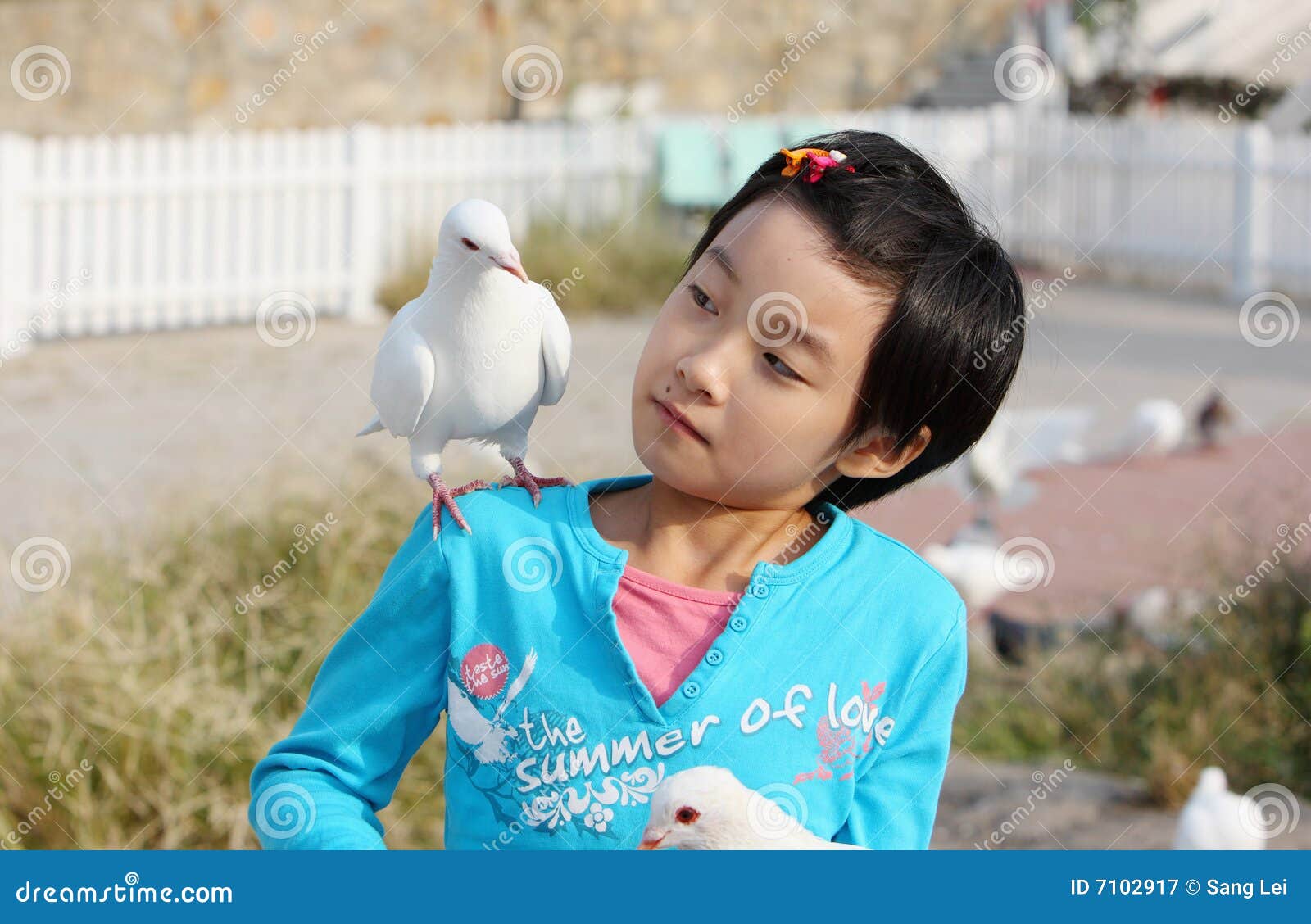 Chinese child with pigeon stock image. Image of youth - 7102917