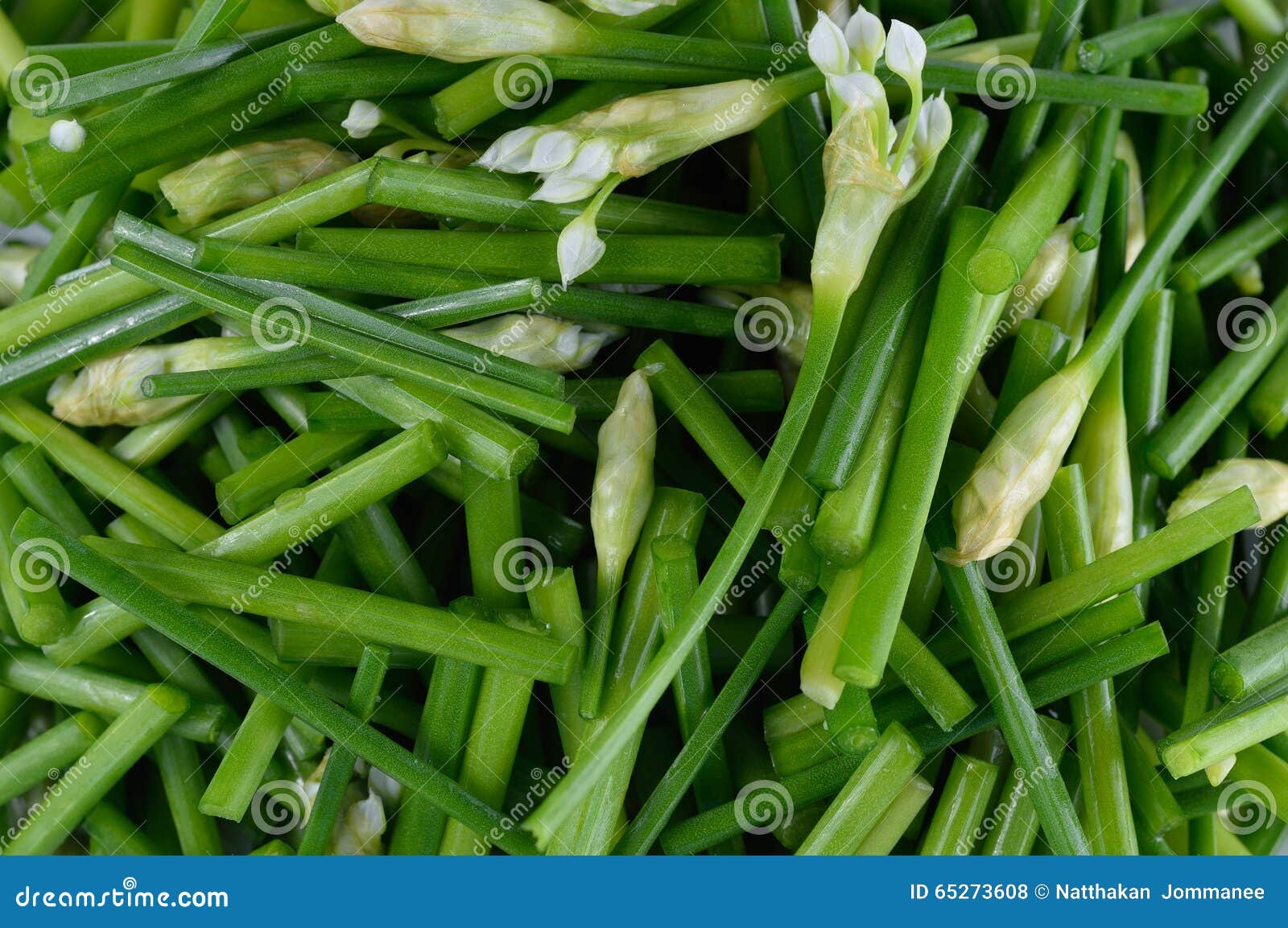 Chinese Chive background stock photo. Image of chives - 65273608