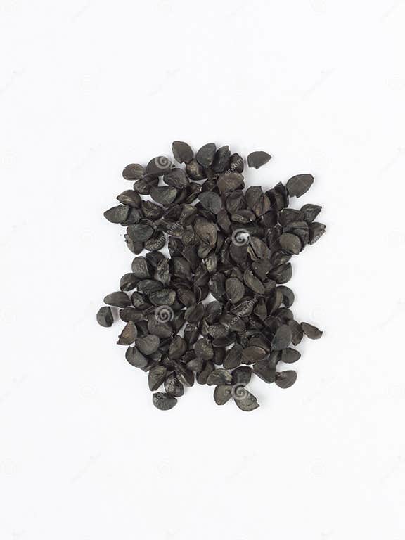 Chinese chive seed stock photo. Image of eating, studio - 91914562