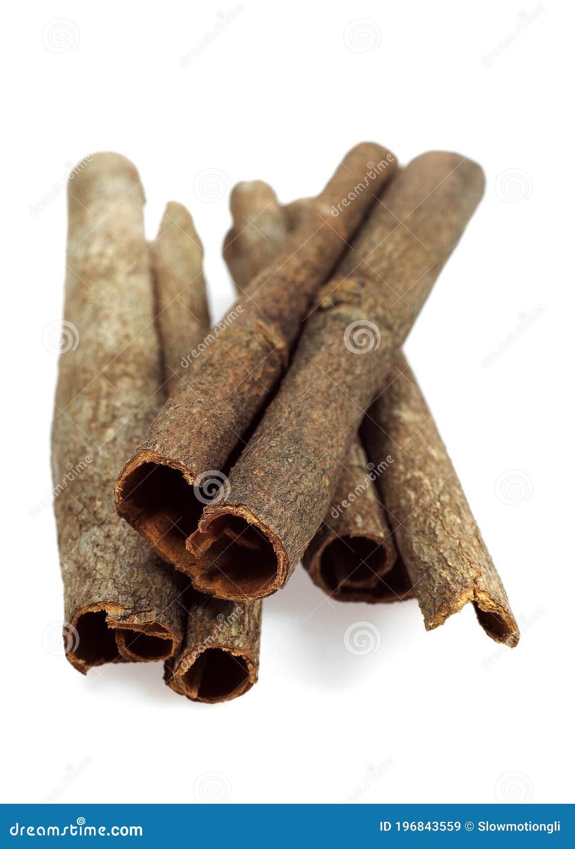 Chinese Cinnamon or Cassia Cinnamon, Cinnamomum Aromaticum Stock Image ...