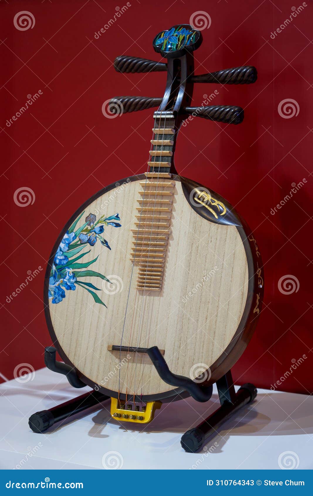 Chinese Classical Traditional Stringed Instruments Stock Image - Image ...